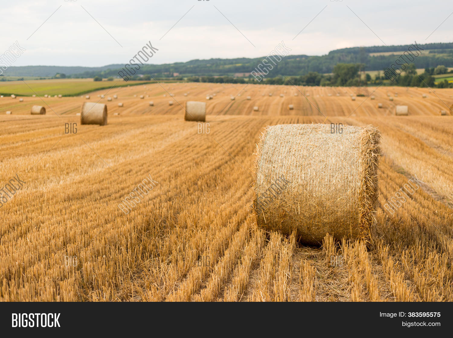 Haystacks Autumn Field Image & Photo (Free Trial) | Bigstock