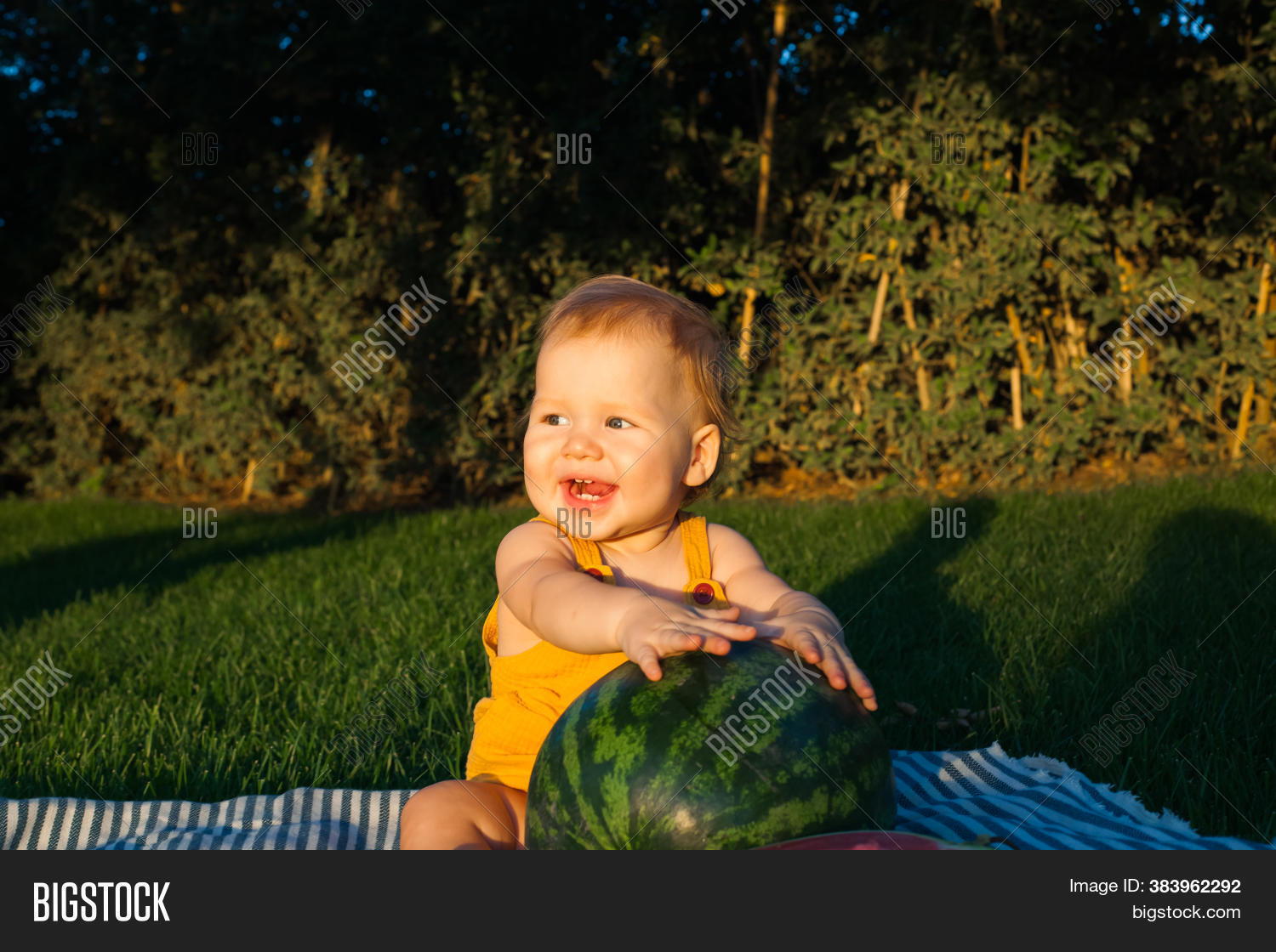 Little Kid Watermelon Image & Photo (Free Trial) | Bigstock