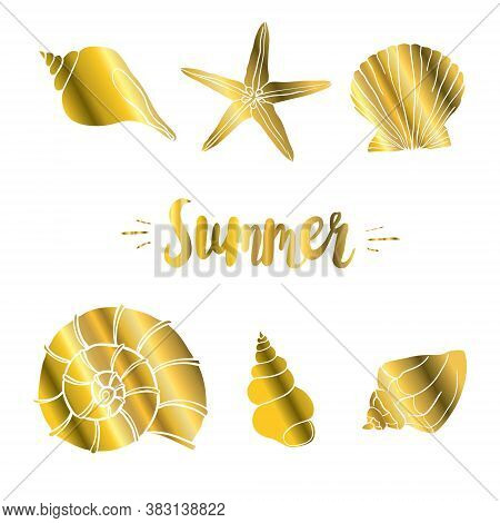 Gold Sea Shell Vector Vector & Photo (Free Trial) | Bigstock