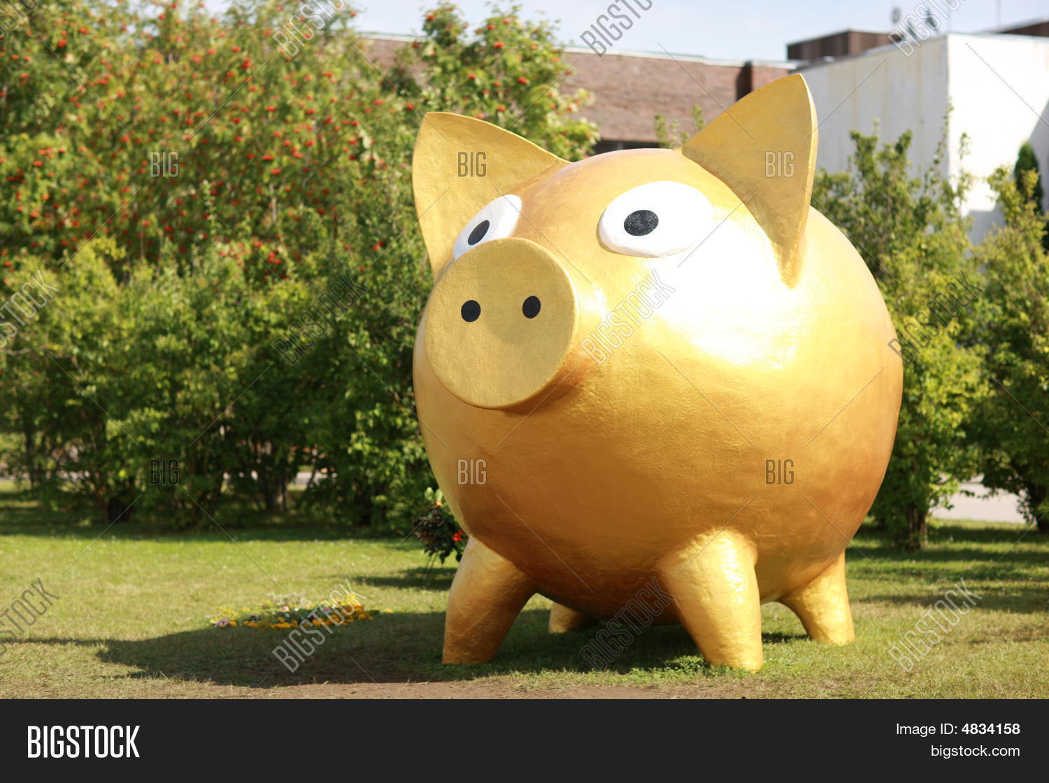 Golden Pig Image & Photo (Free Trial) | Bigstock