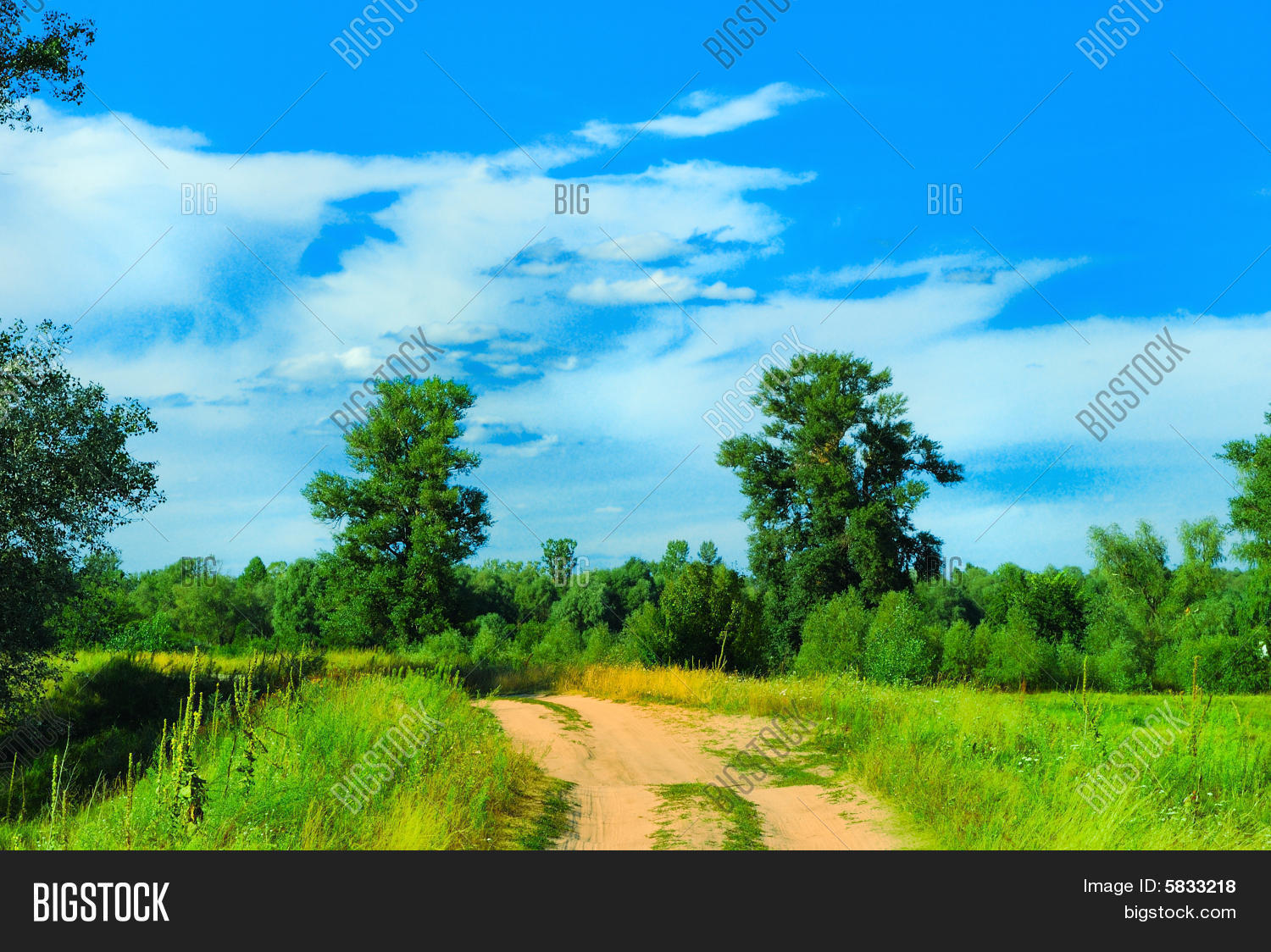 Winding Path Image & Photo (Free Trial) | Bigstock