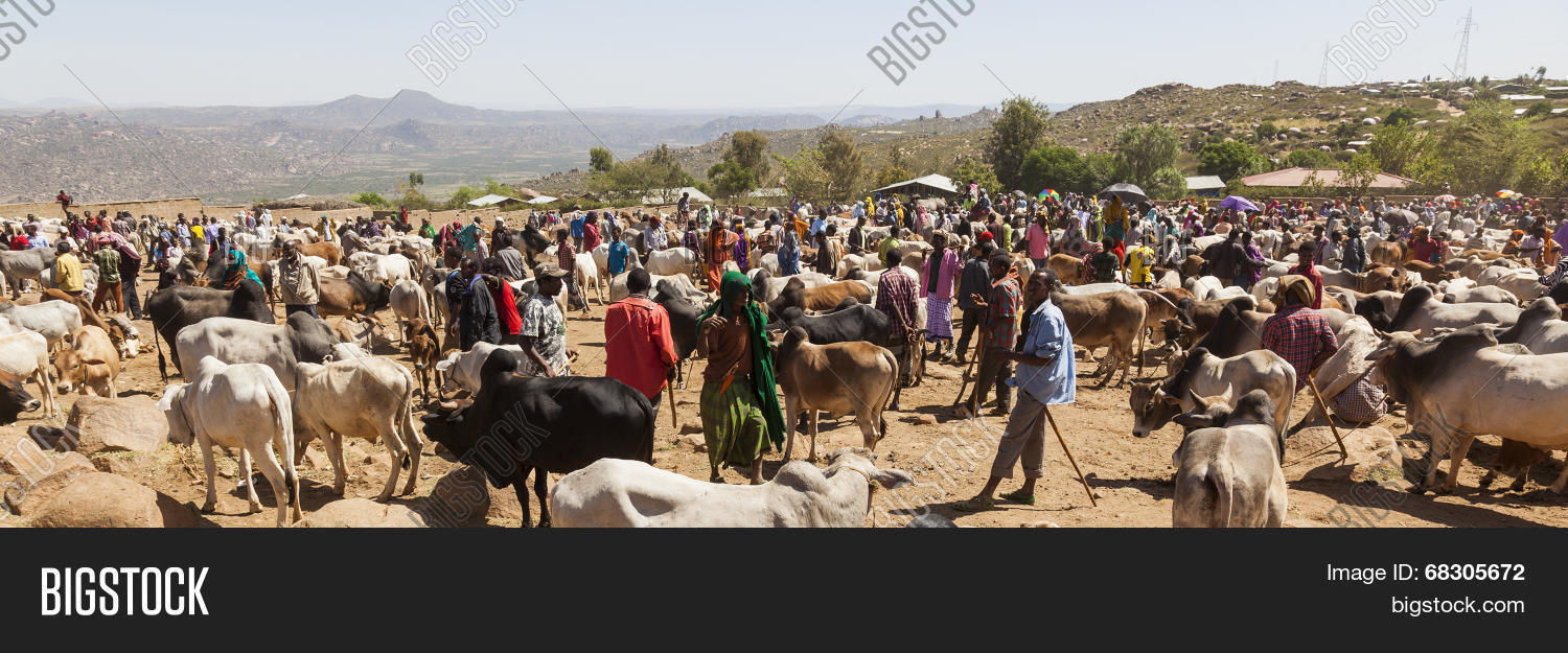 Babile. Ethiopia - Image & Photo (Free Trial) | Bigstock