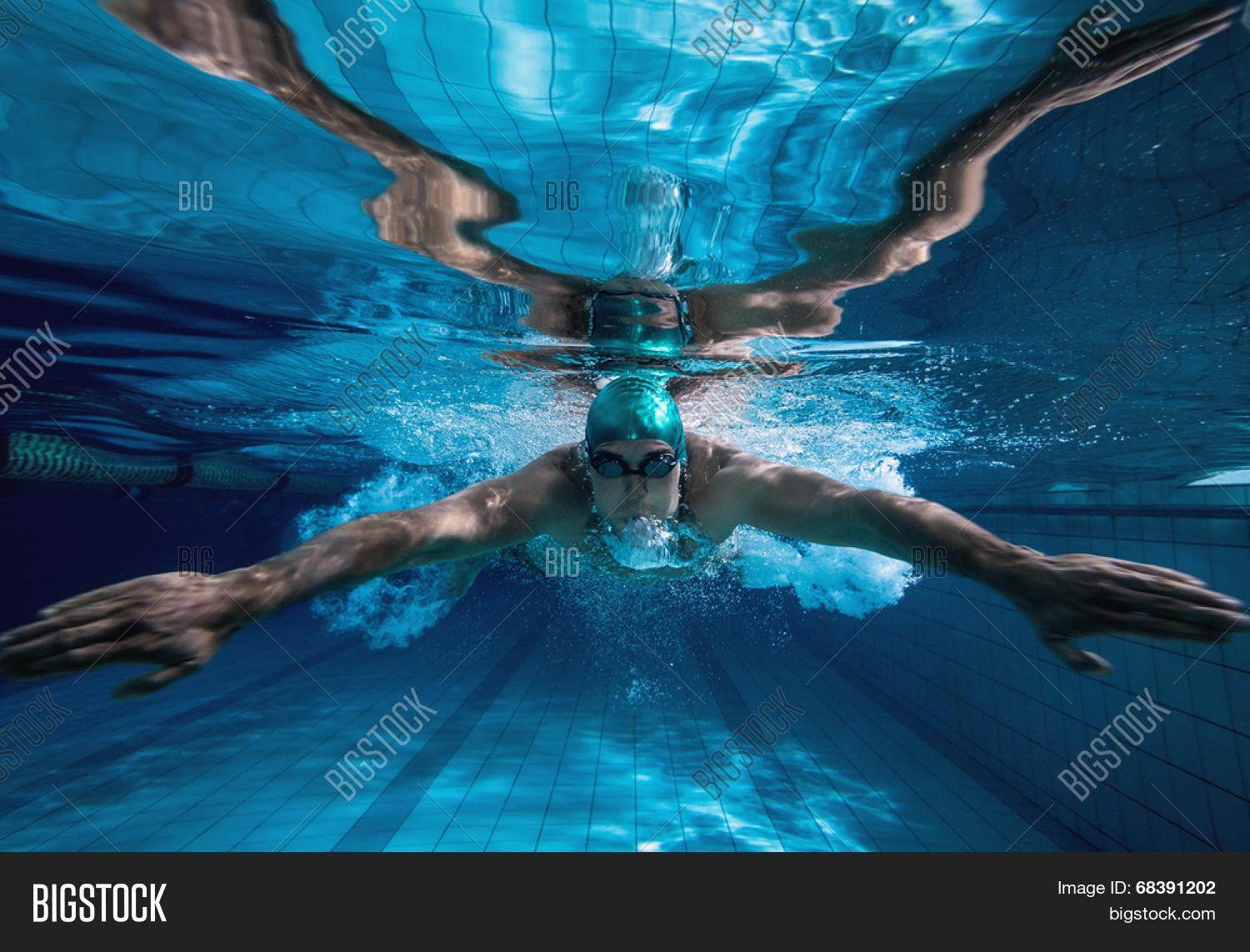 Fit Swimmer Training Image & Photo (Free Trial) | Bigstock
