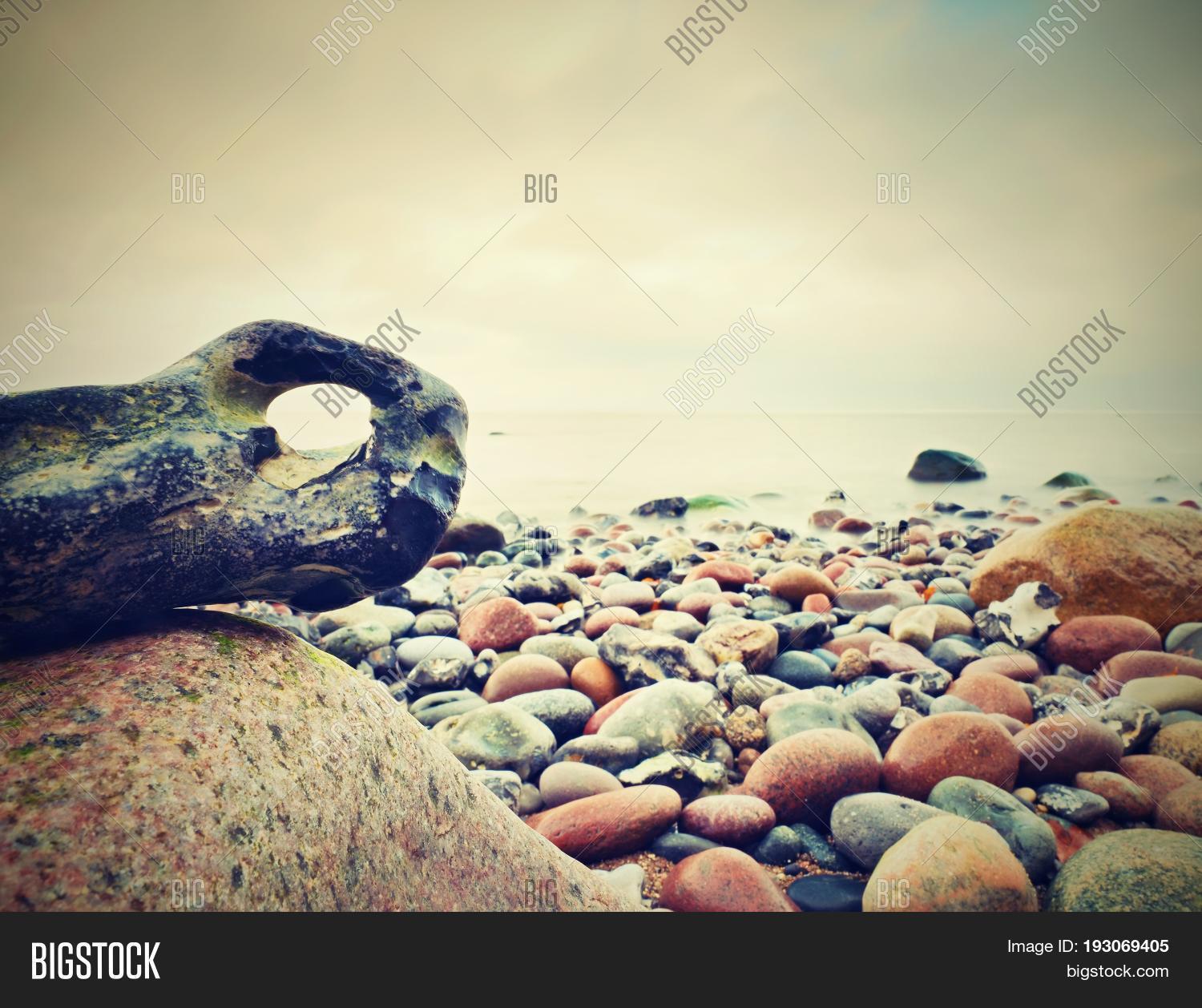 Bizzare Rock On Image & Photo (Free Trial) | Bigstock