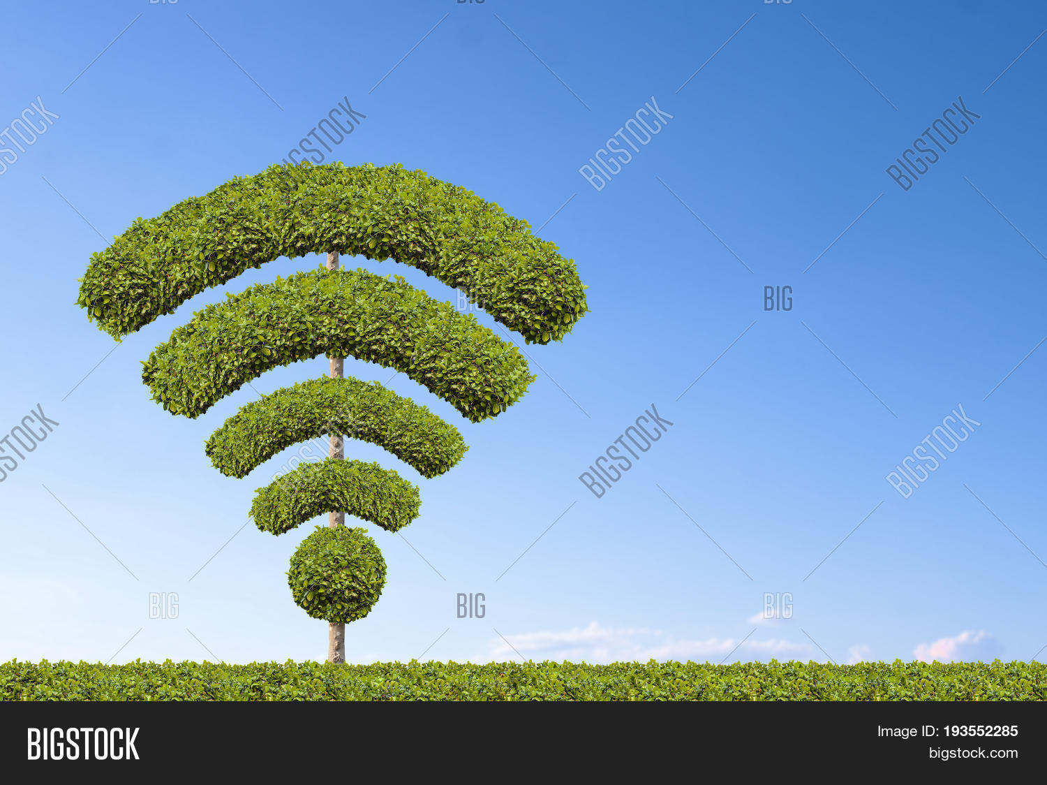Tree Wifi Symbol, Made Image & Photo (Free Trial) | Bigstock