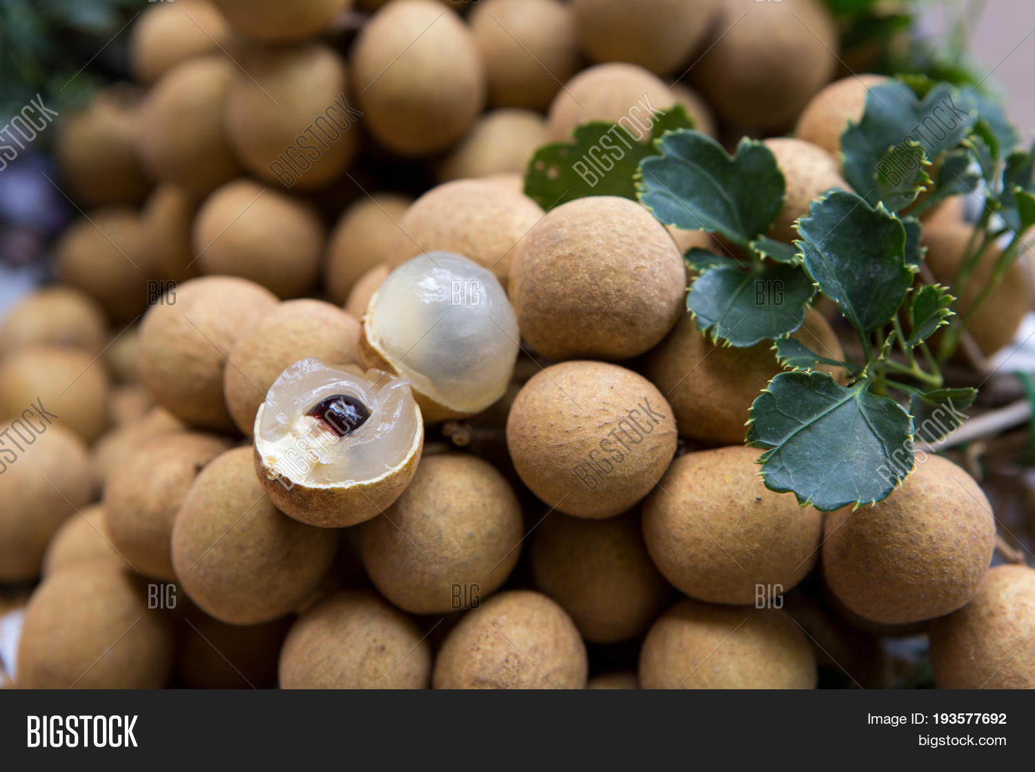 Fresh Longan Organic Image & Photo (Free Trial) | Bigstock