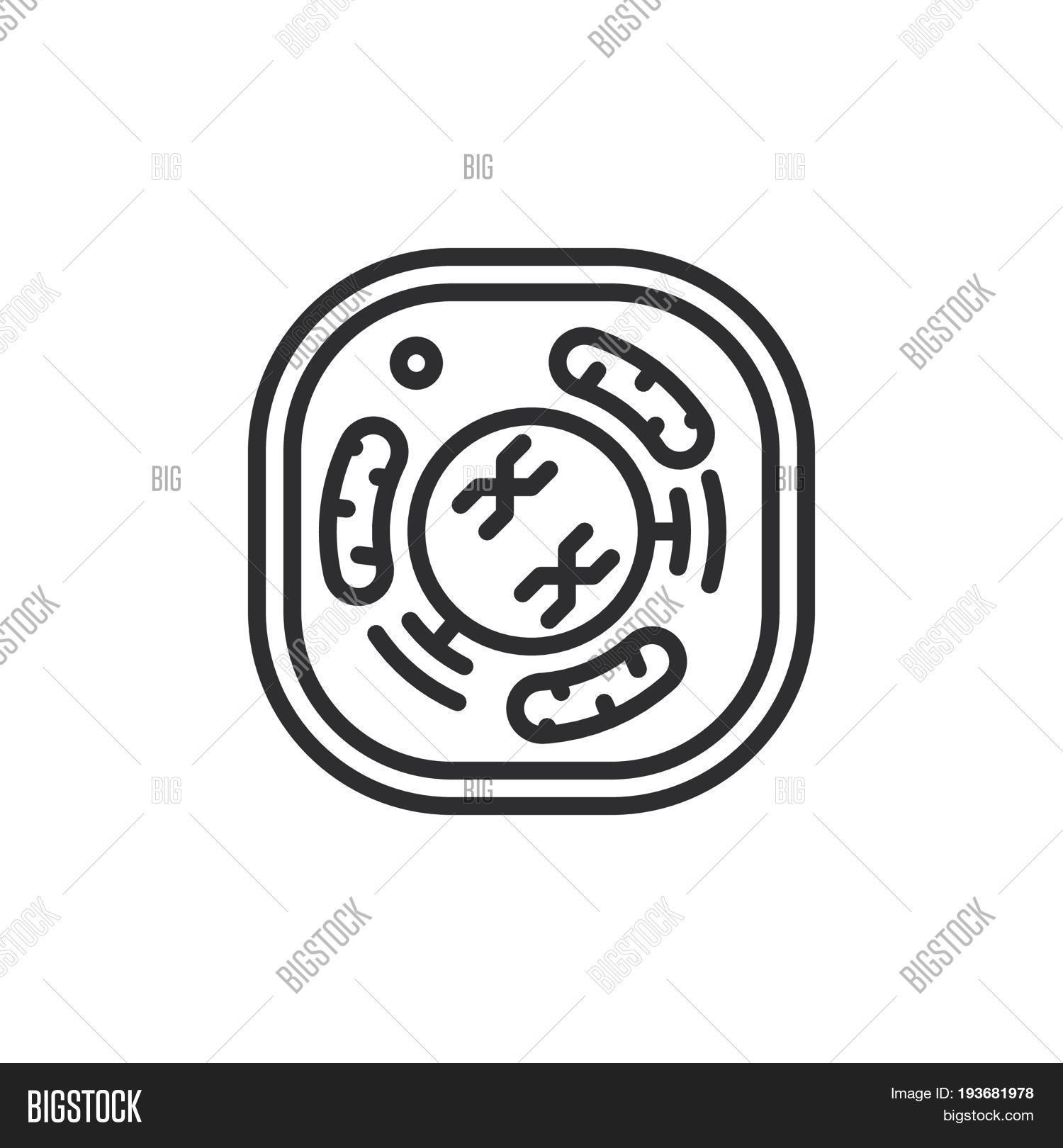 Cell Line Icon Vector & Photo (Free Trial) | Bigstock