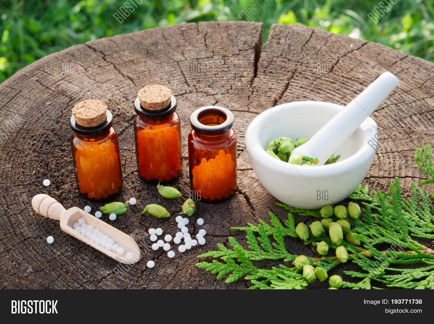 Bottles Homeopathic Image & Photo (Free Trial) | Bigstock