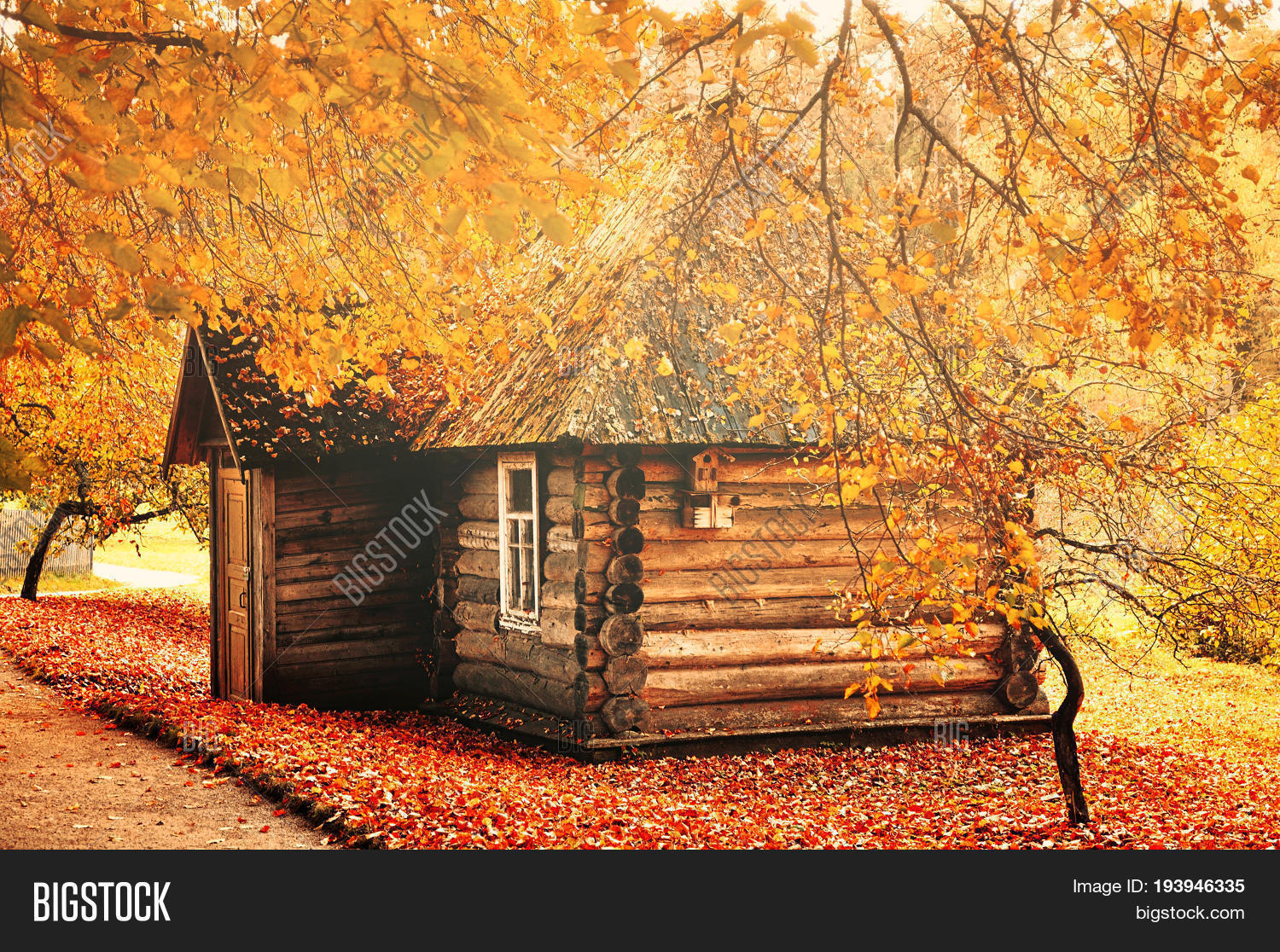 Autumn House Grass Trees