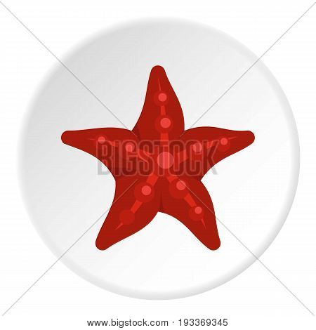 Starfish Images, Illustrations, Vectors - Starfish Stock Photos ...