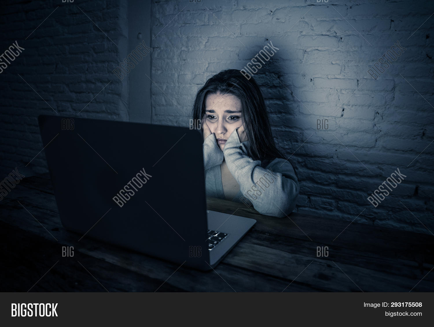 Scared Woman On Laptop Image & Photo (Free Trial) | Bigstock