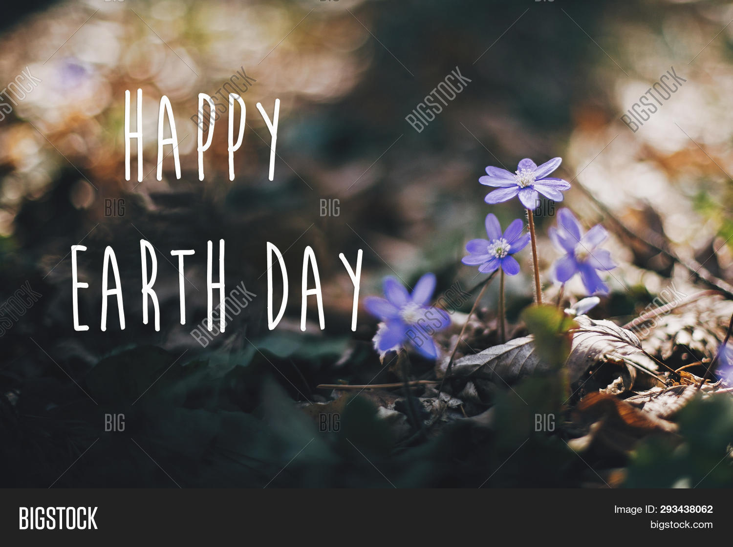 Happy Earth Day Text, Image & Photo (Free Trial) | Bigstock