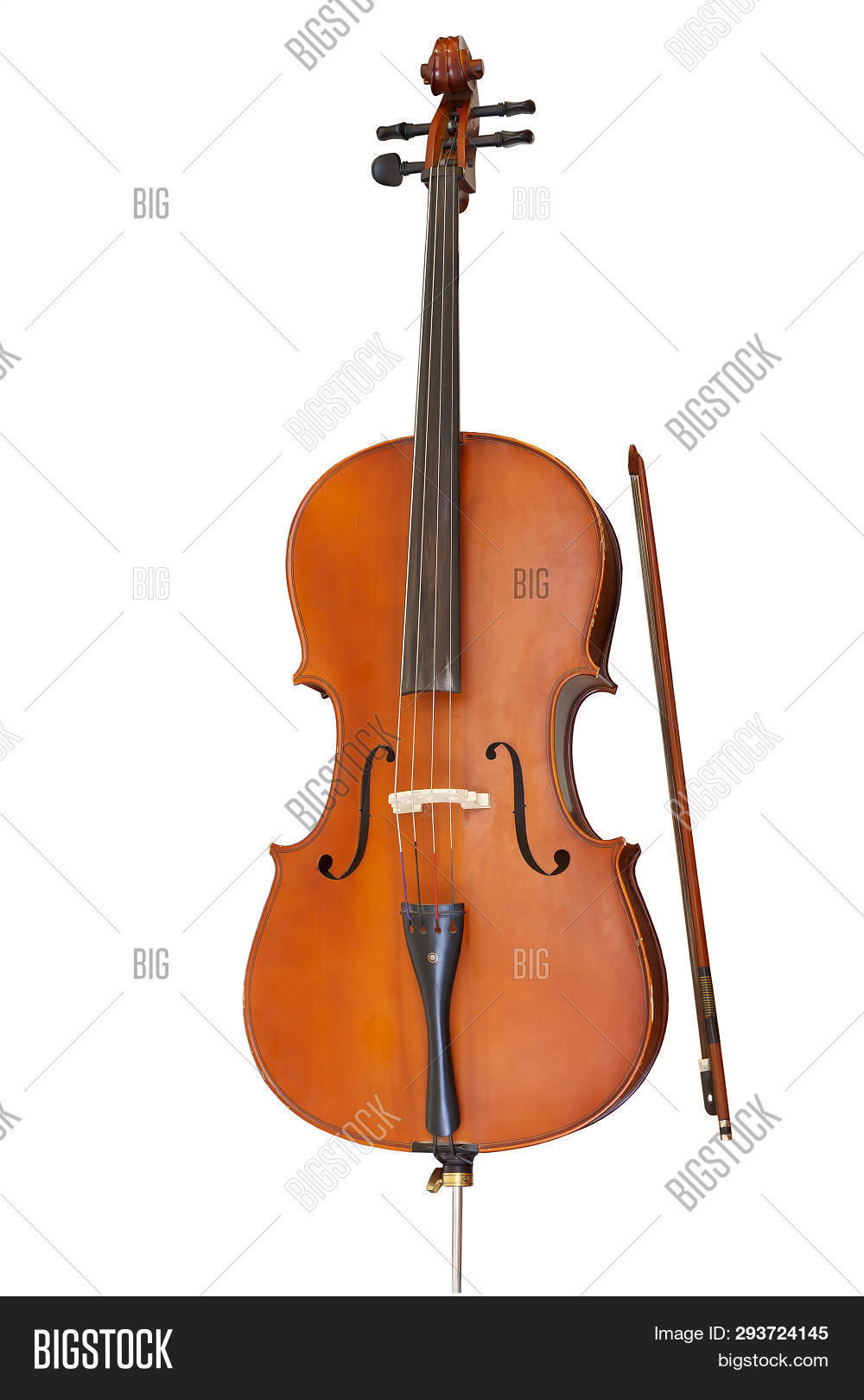 Classic Stringed Image & Photo (Free Trial) | Bigstock