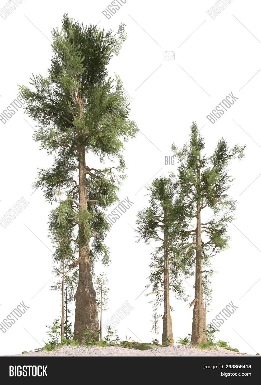 Trees Mesozoic Era Image & Photo (Free Trial) | Bigstock