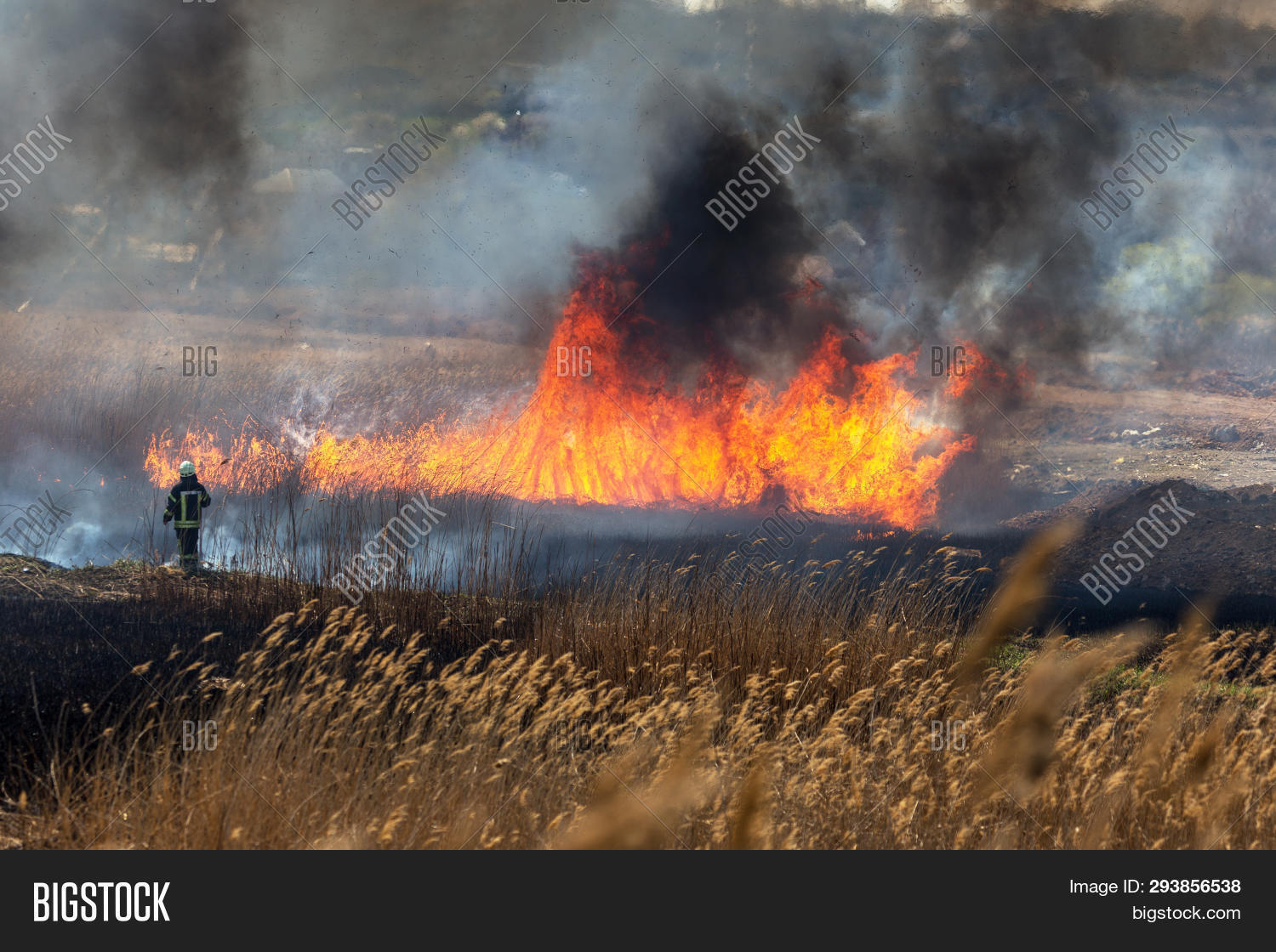 Raging Forest Spring Image & Photo (Free Trial) | Bigstock