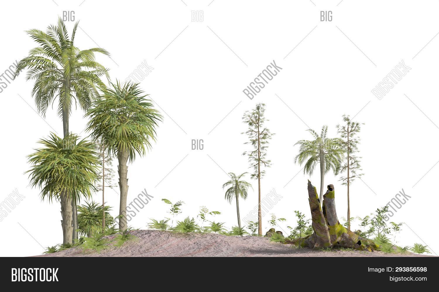 Trees Mesozoic Era Image & Photo (Free Trial) | Bigstock
