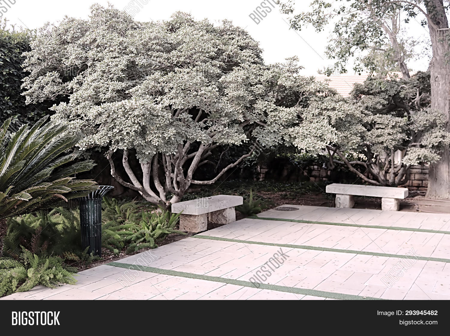 Stone Benches Park Image & Photo (Free Trial) | Bigstock