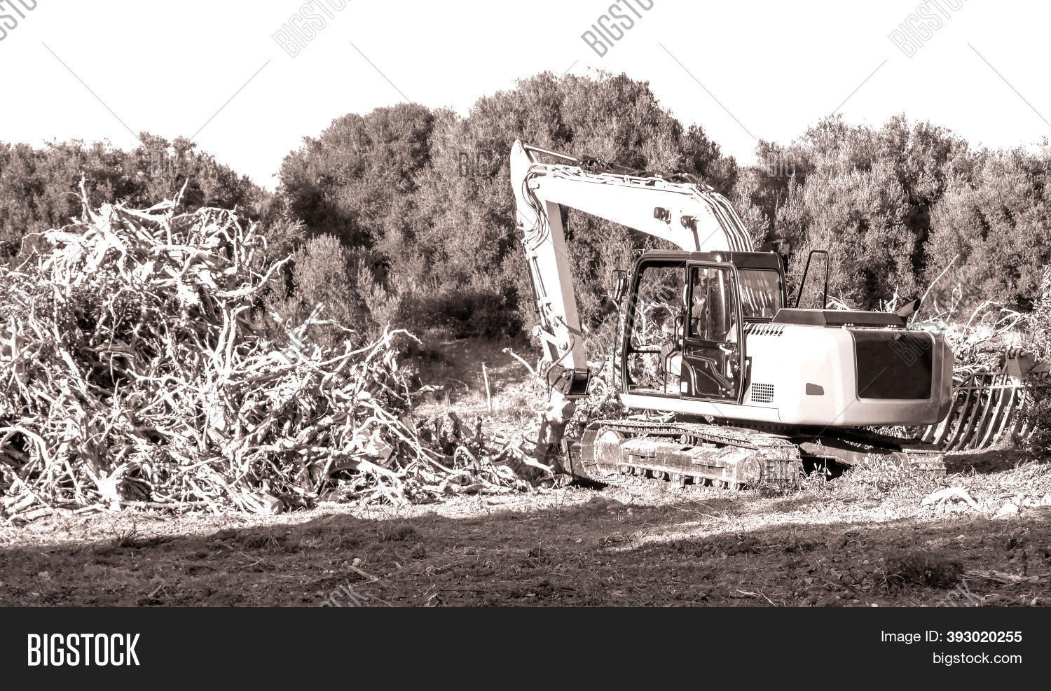 Large Digger Machine Image & Photo (Free Trial) | Bigstock