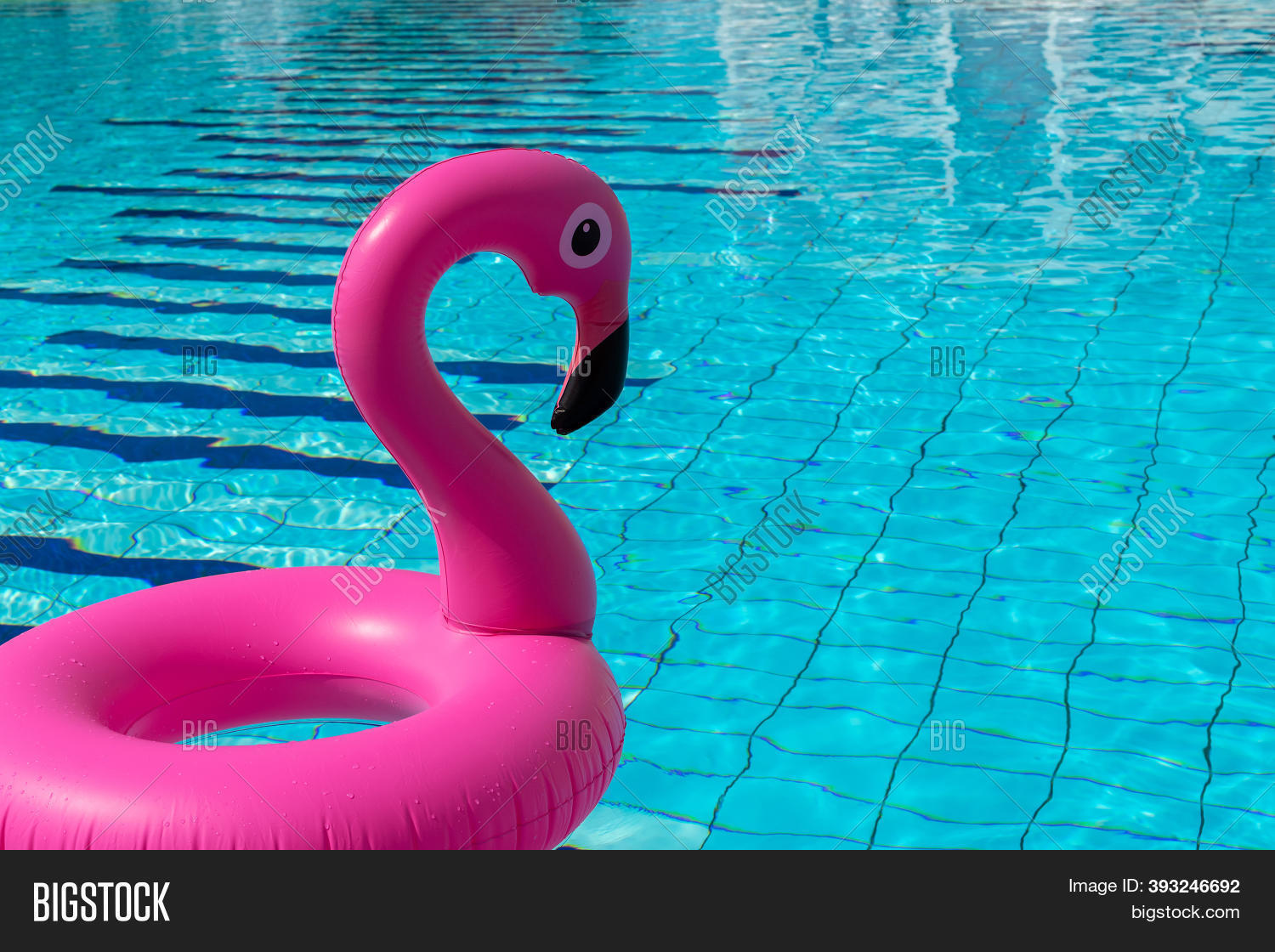 Pink Pool. Pink Image & Photo (Free Trial) | Bigstock
