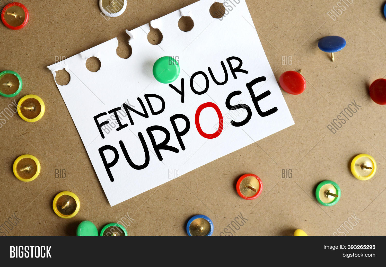 Find Your Purpose, Image & Photo (Free Trial) | Bigstock