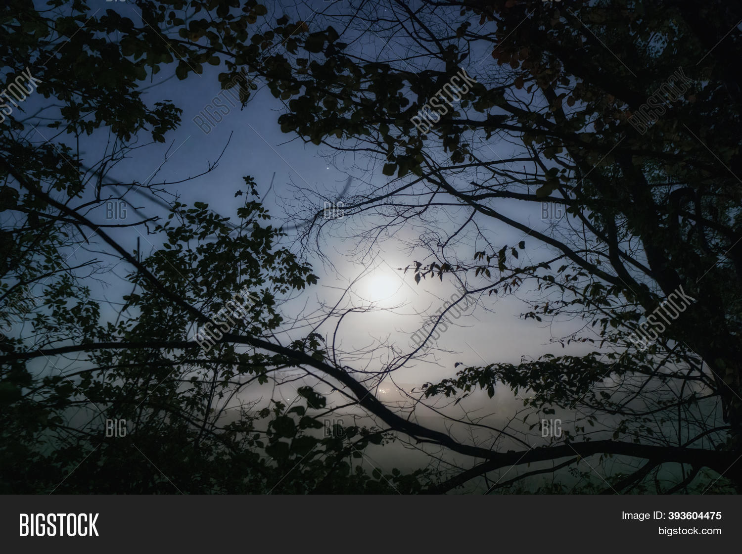 Foggy Moon Atmosphere Image & Photo (Free Trial) | Bigstock
