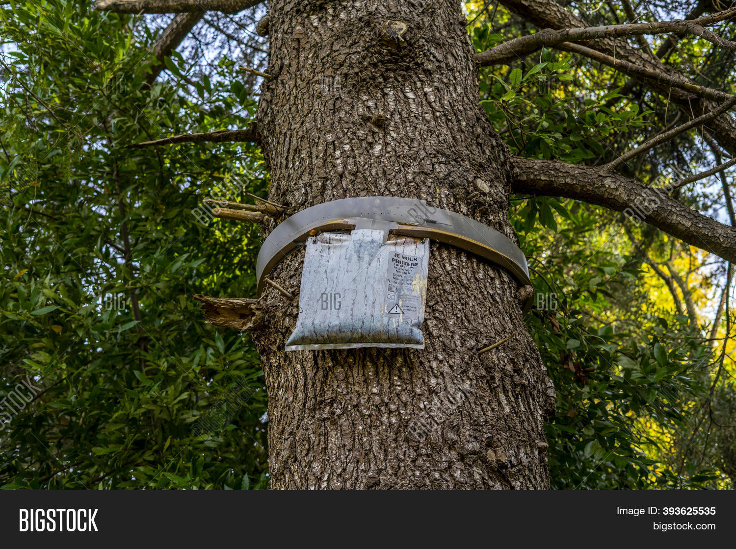 Ecological Traps Laid Image & Photo (Free Trial) | Bigstock