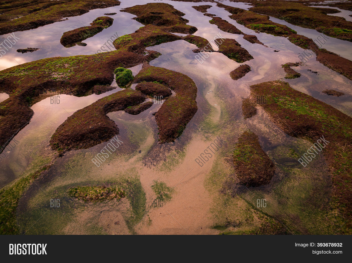 Ocean During Low Tide Image & Photo (Free Trial) | Bigstock