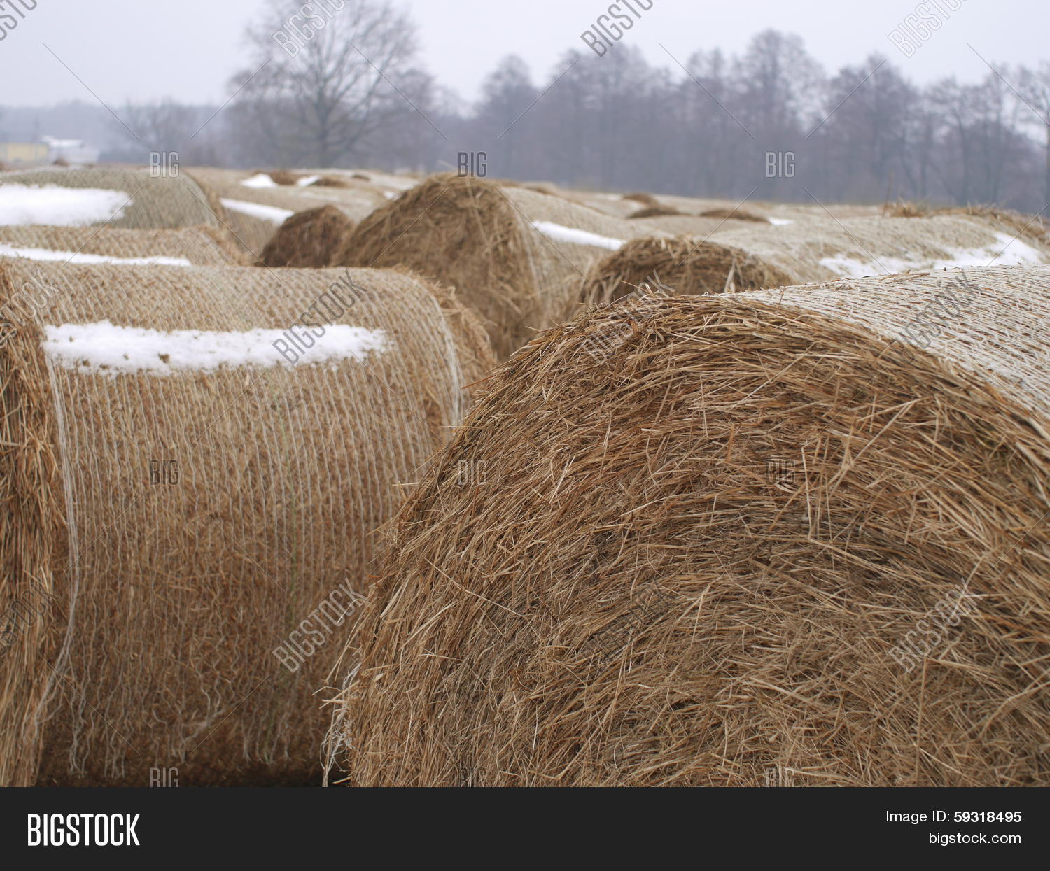 Roll Hay Image & Photo (Free Trial) | Bigstock