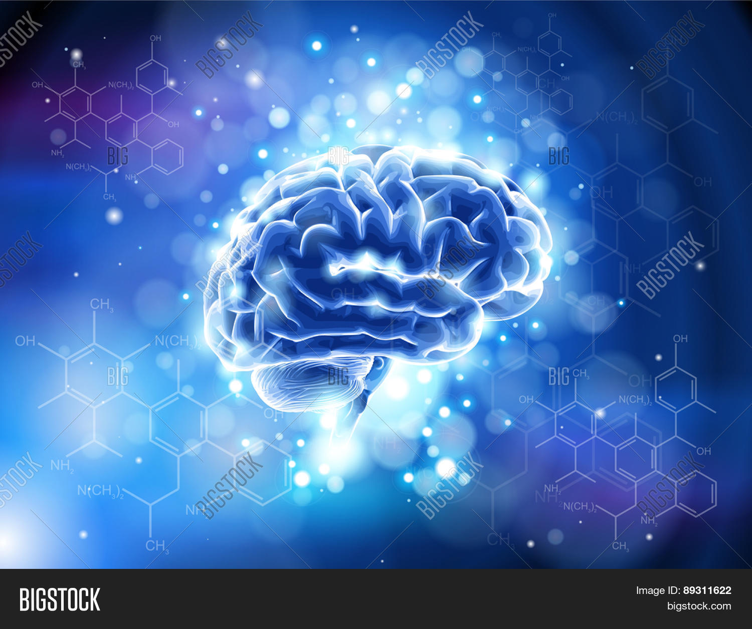 Brain - Blue Vector & Photo (Free Trial) | Bigstock