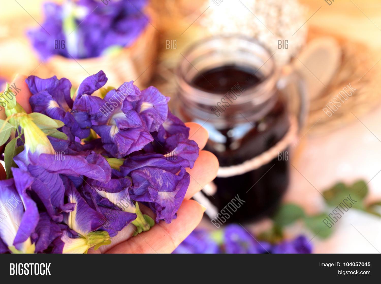 Anchan Flowering Water Image & Photo (Free Trial) | Bigstock