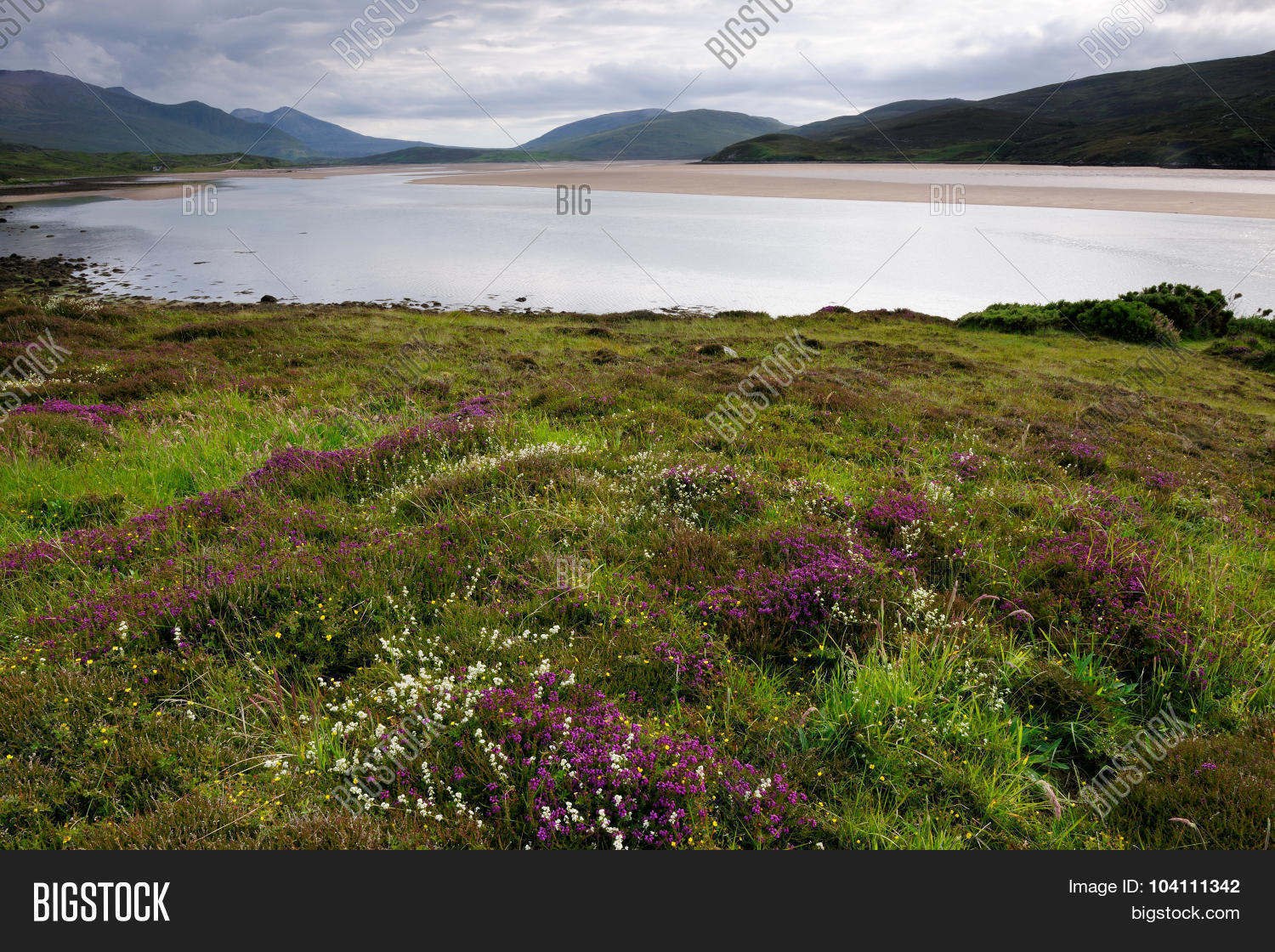 Coastal Landscape Image & Photo (Free Trial) | Bigstock