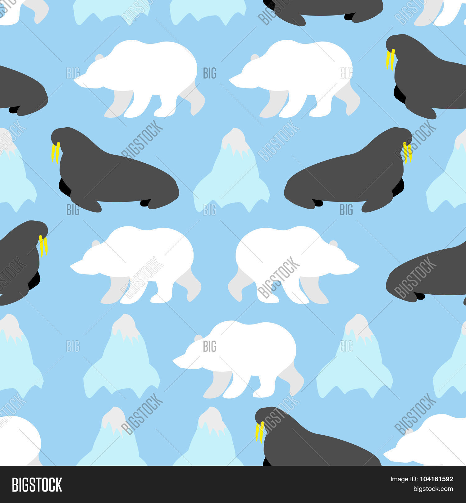 Walrus Polar Bear Vector & Photo (Free Trial) | Bigstock