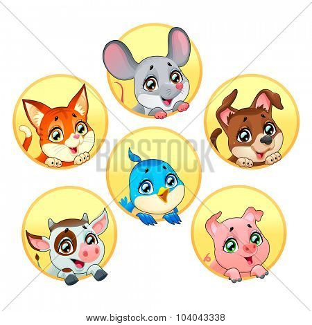 Funny Pet Faces. Vector & Photo (Free Trial) | Bigstock