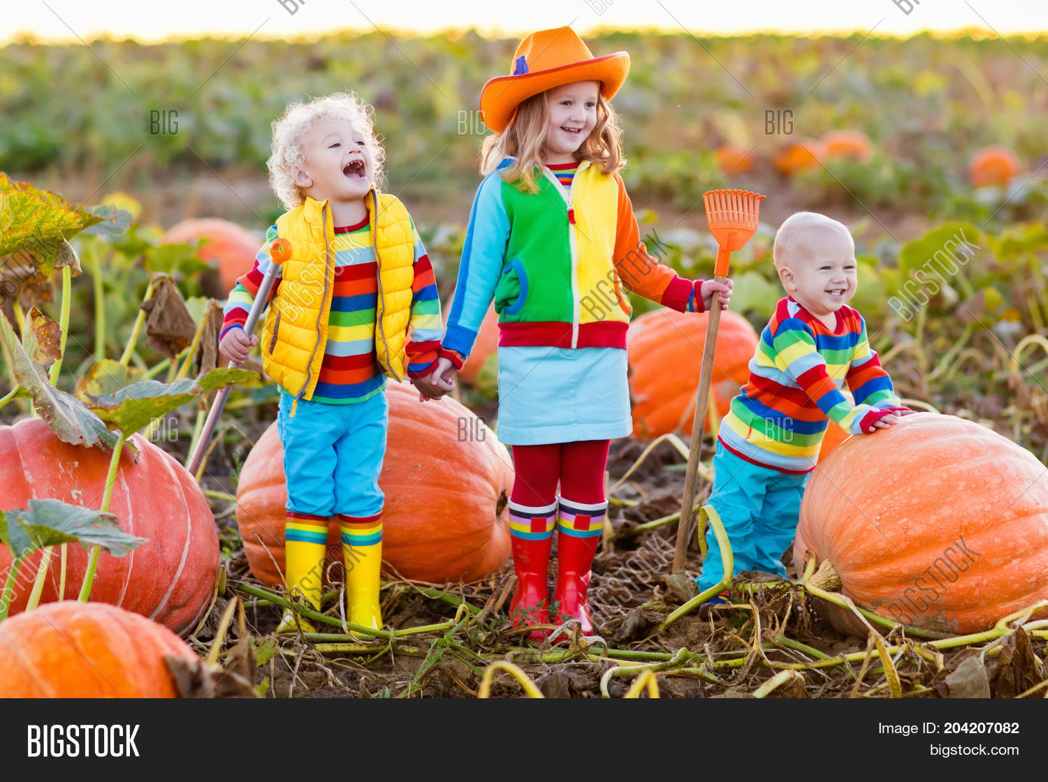 Kids Picking Pumpkins Image & Photo (Free Trial) | Bigstock