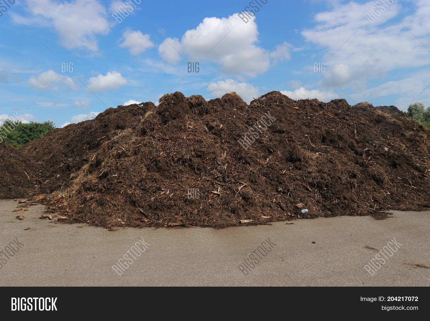 Biowaste Green Waste Image & Photo (Free Trial) | Bigstock