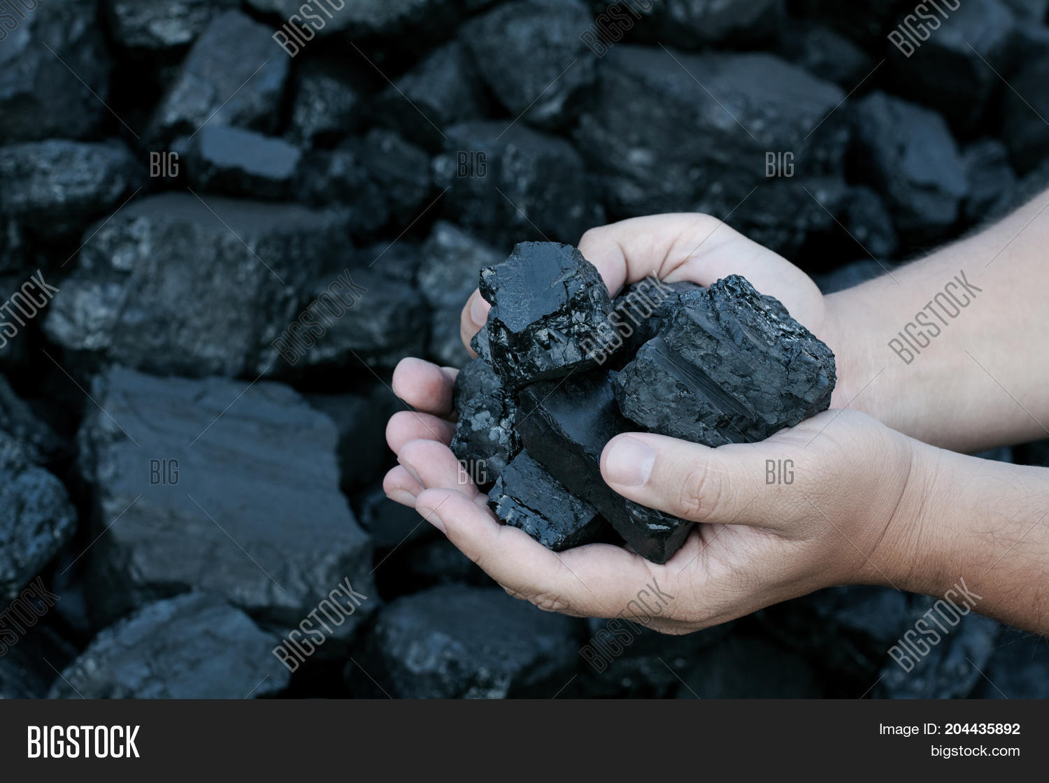 Coal Mining - Hands Image & Photo (Free Trial) | Bigstock