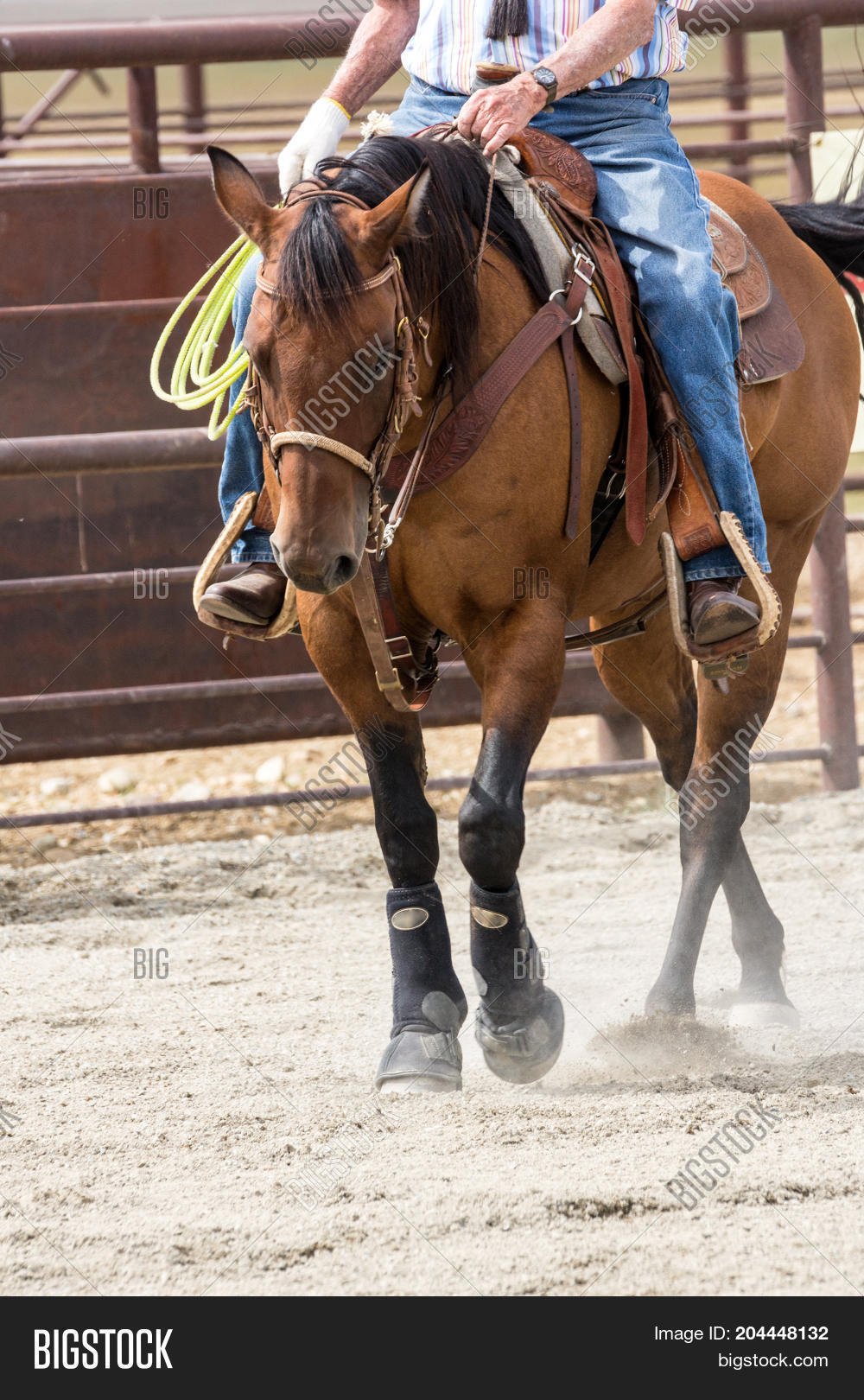 Cowboy Riding Roping Image & Photo (Free Trial) | Bigstock