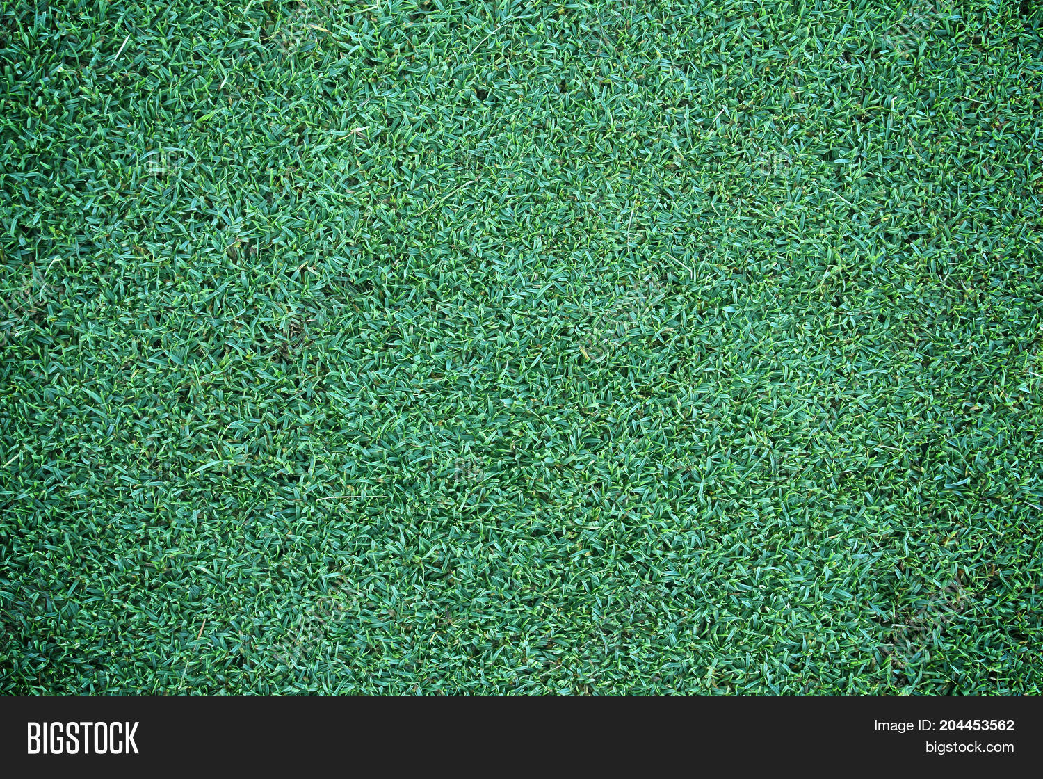 Background Green Grass Image & Photo (Free Trial) | Bigstock