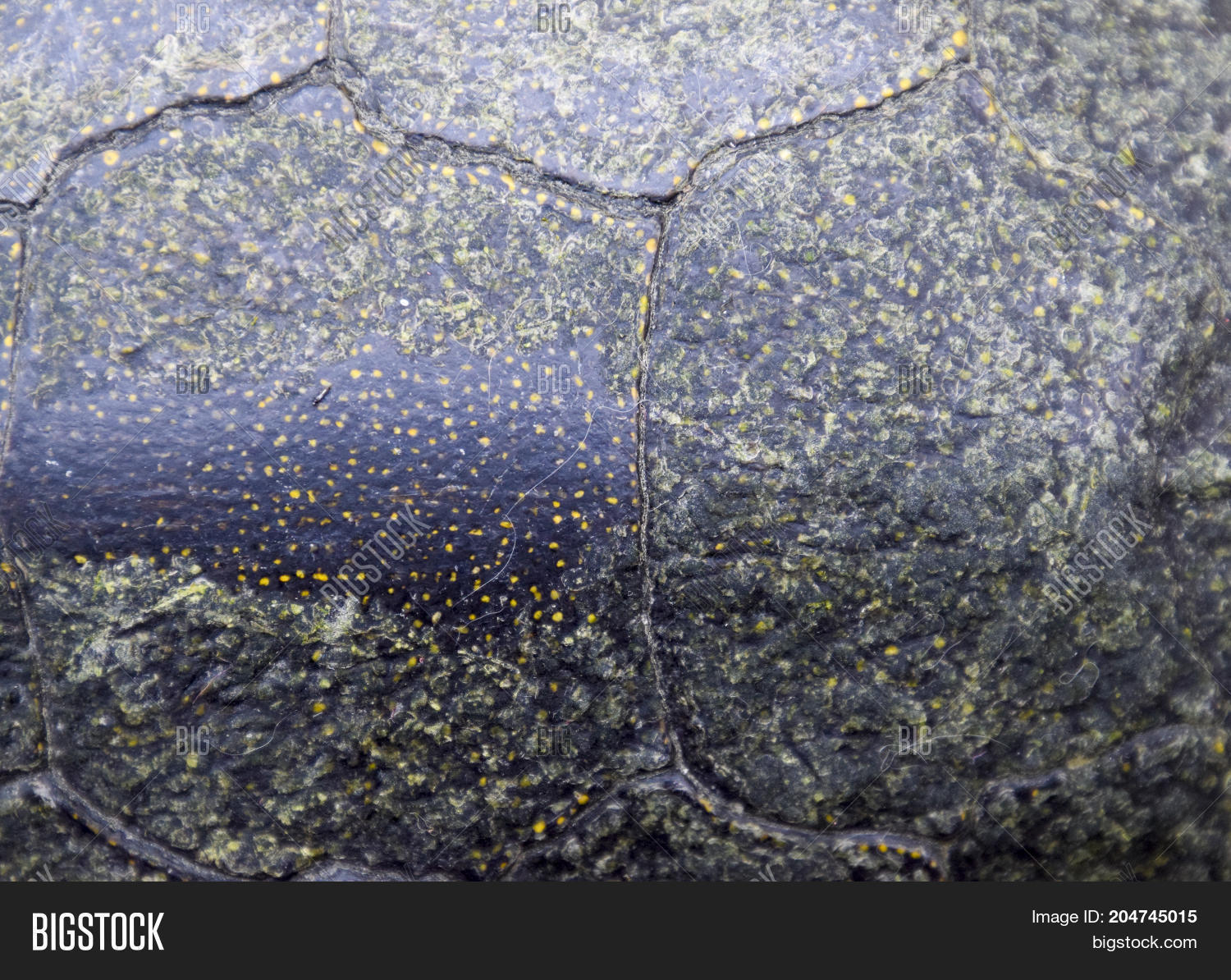 Background Texture Image & Photo (Free Trial) | Bigstock