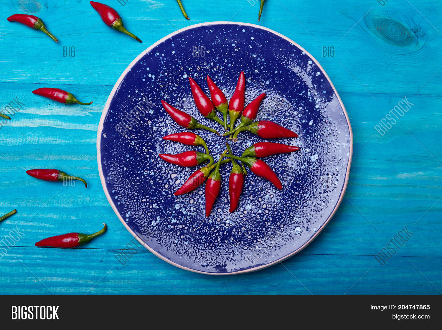 Lunch Layout Bright Image & Photo (Free Trial) | Bigstock