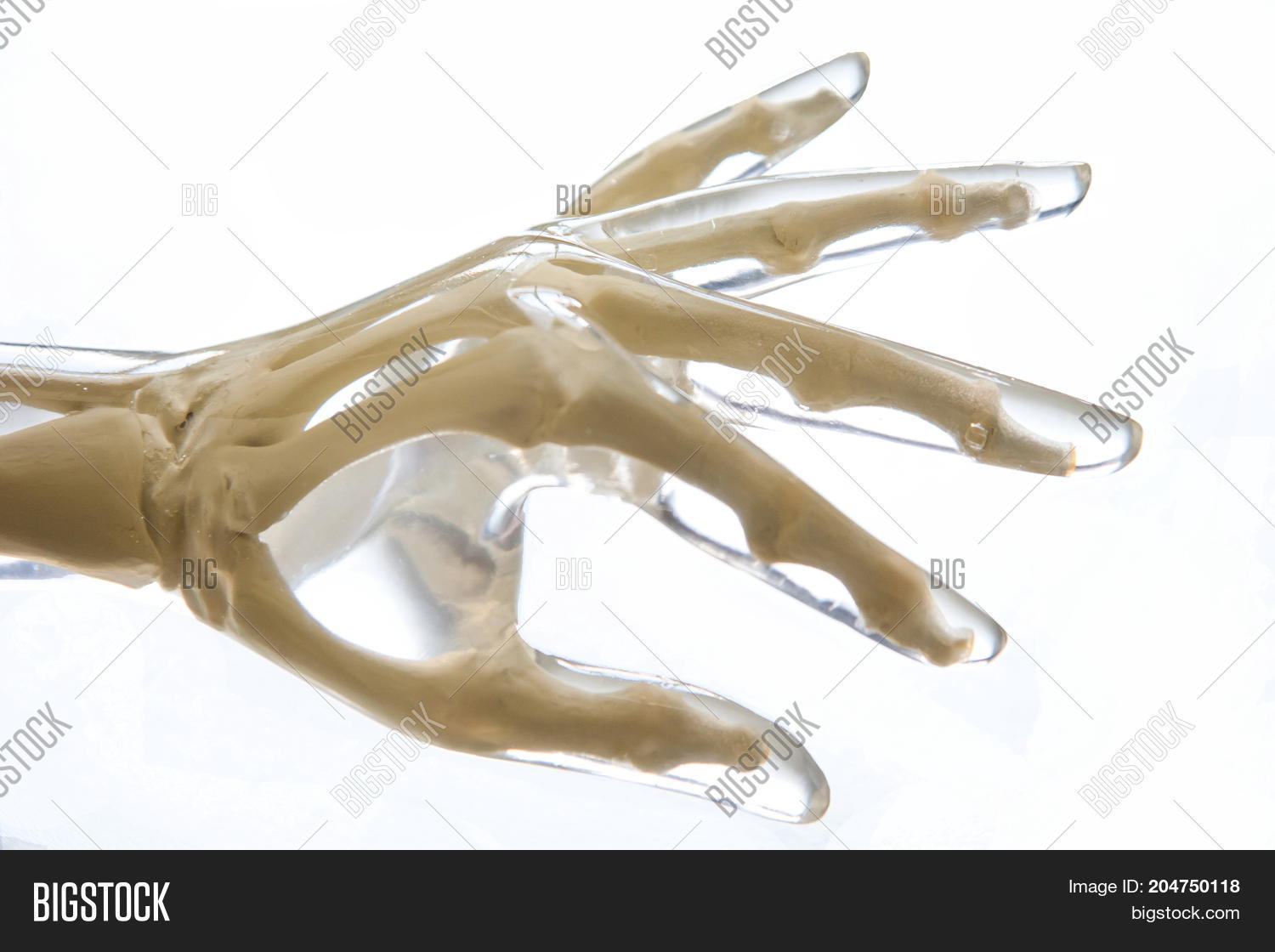 X-Ray Phantom Hand Image & Photo (Free Trial) | Bigstock