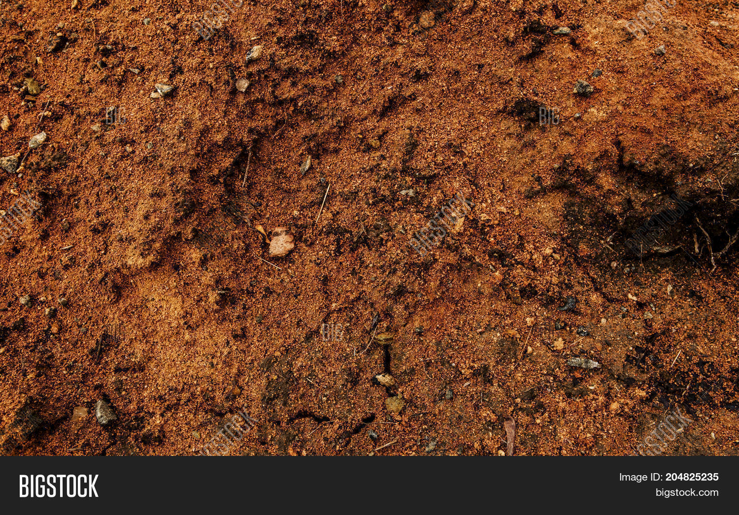 Clay Soil. Clay Earth Image & Photo (Free Trial) | Bigstock