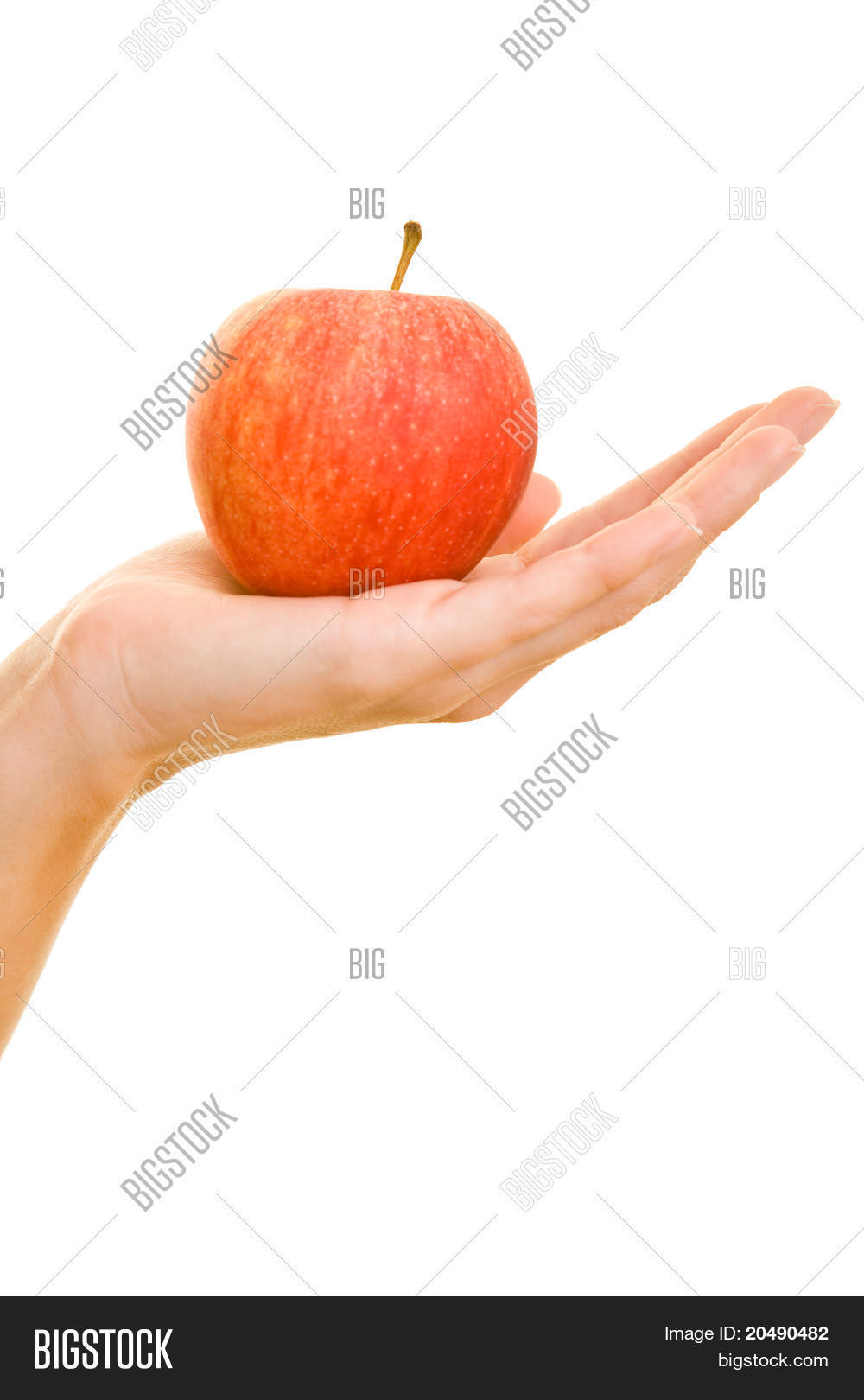 Apple Product Offering