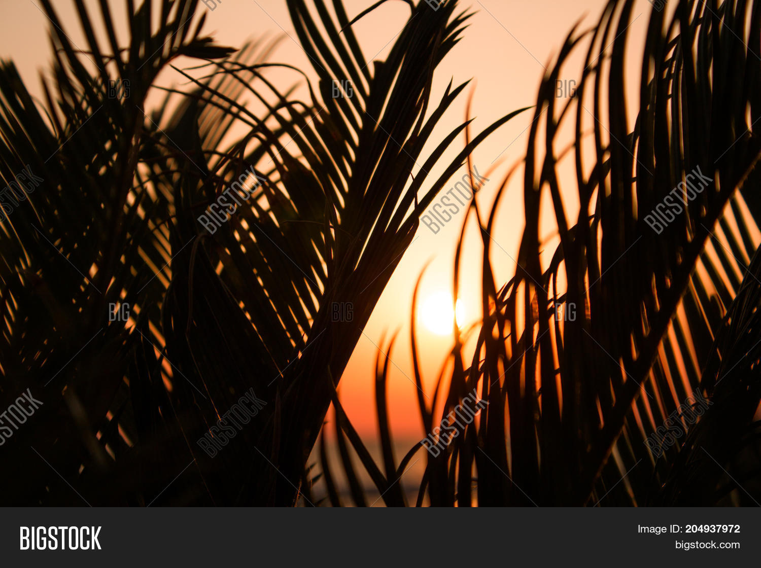 Fiery Orange Sun Image & Photo (Free Trial) | Bigstock