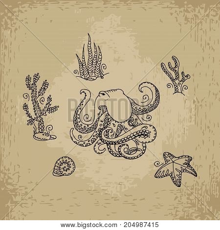 Cartoon Octopus. Hand Vector & Photo (Free Trial) | Bigstock