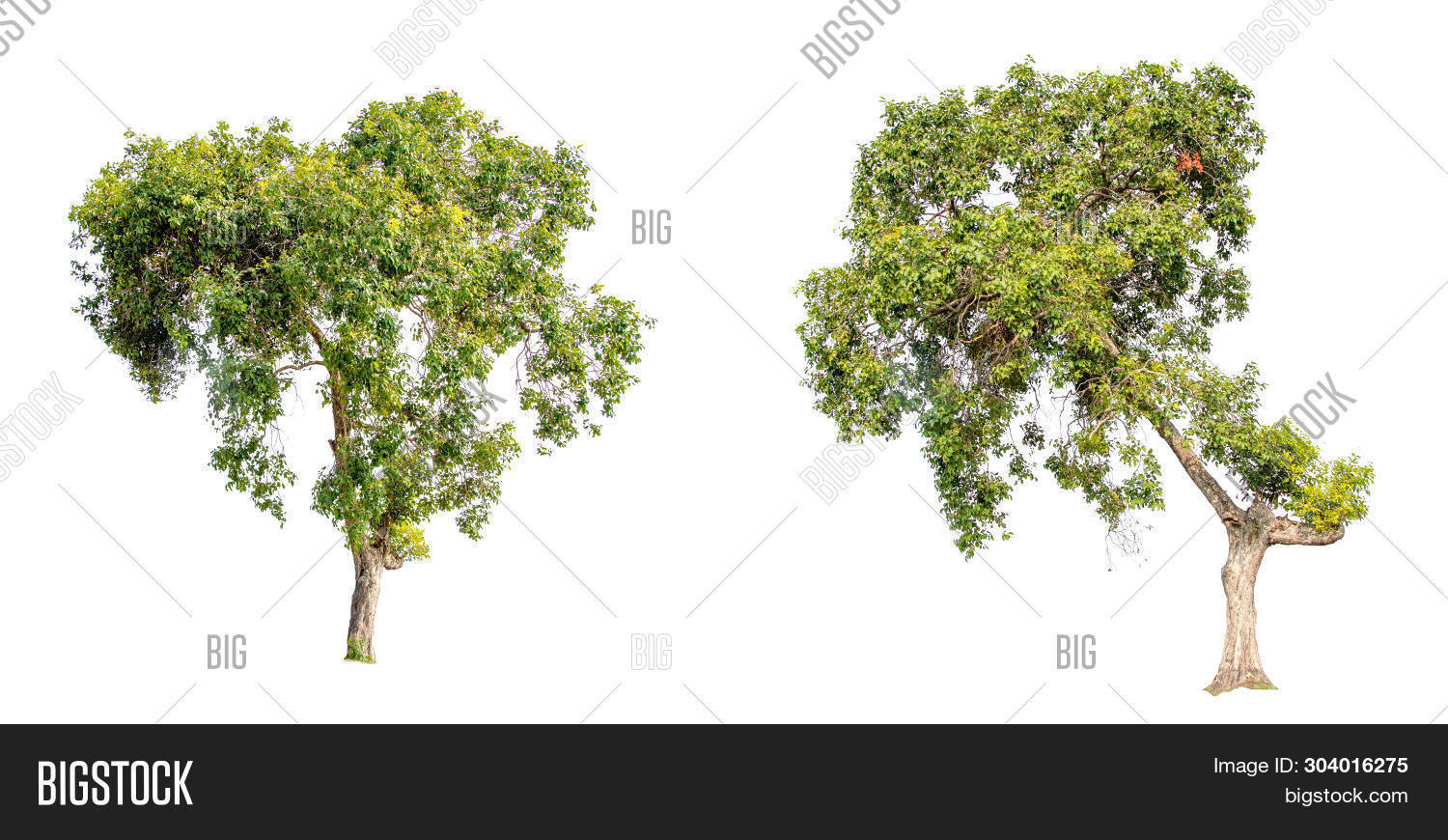 Collection Isolate Image & Photo (Free Trial) | Bigstock