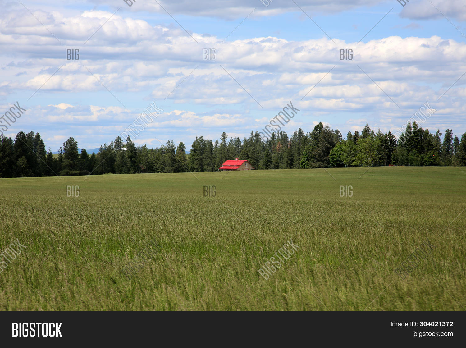 Red Barn Wheat Field. Image & Photo (Free Trial) | Bigstock
