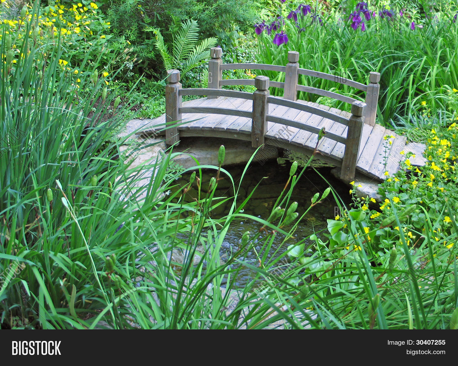Arched Bridge Over Image & Photo (Free Trial) | Bigstock