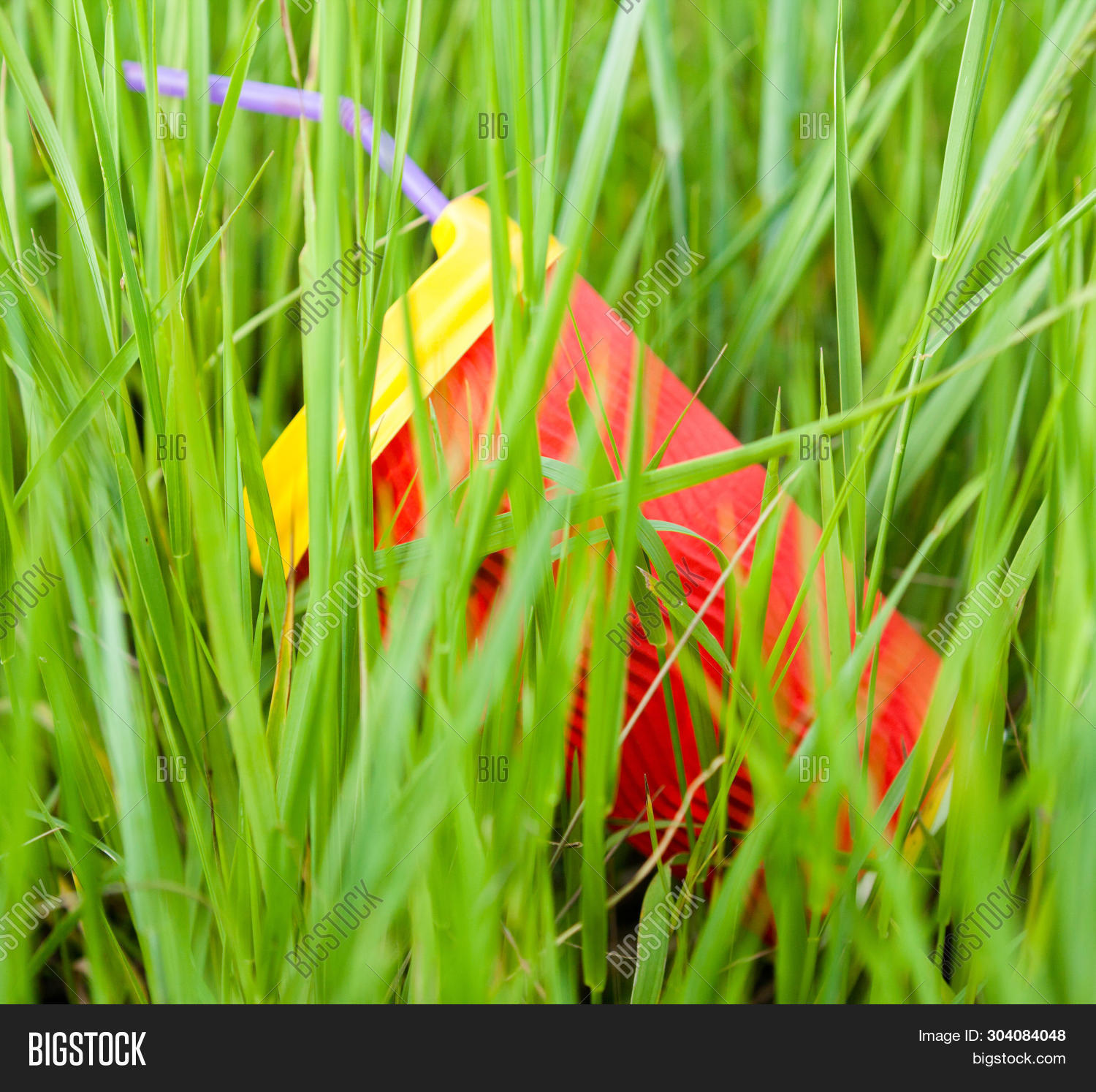 Bright Red Plastic Cup Image & Photo (Free Trial) | Bigstock