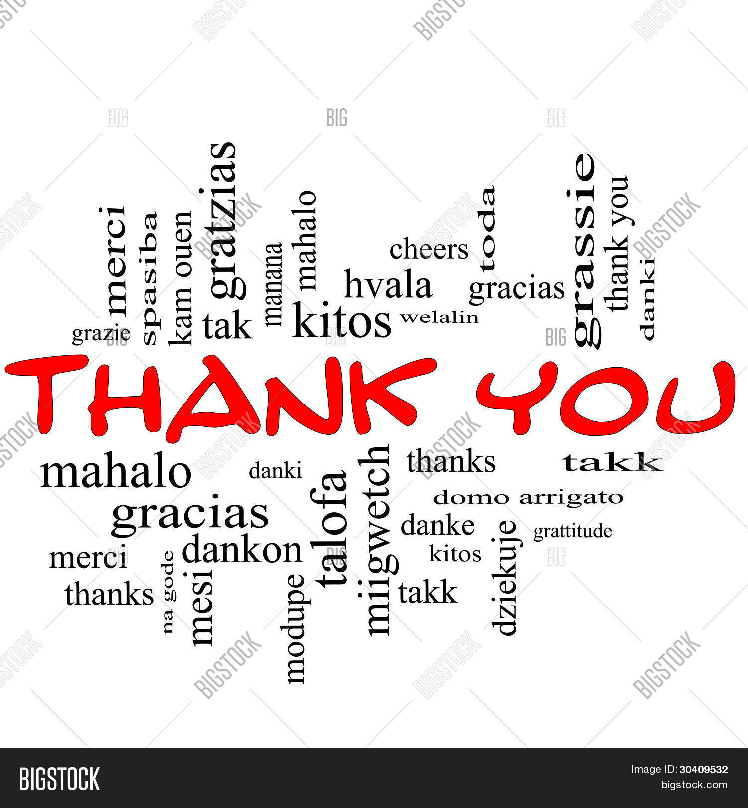 Thank You Word Cloud Image & Photo (Free Trial) | Bigstock